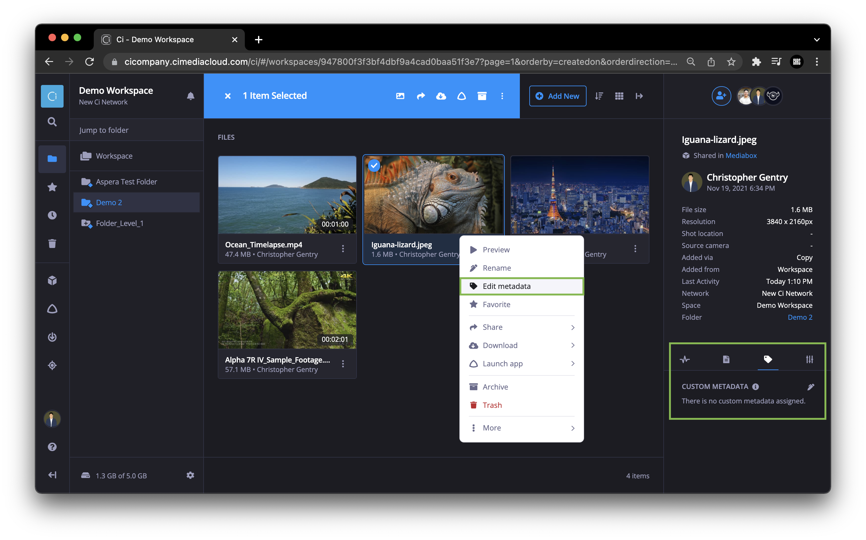 Adding File Custom Metadata SONY Ci Customer Success